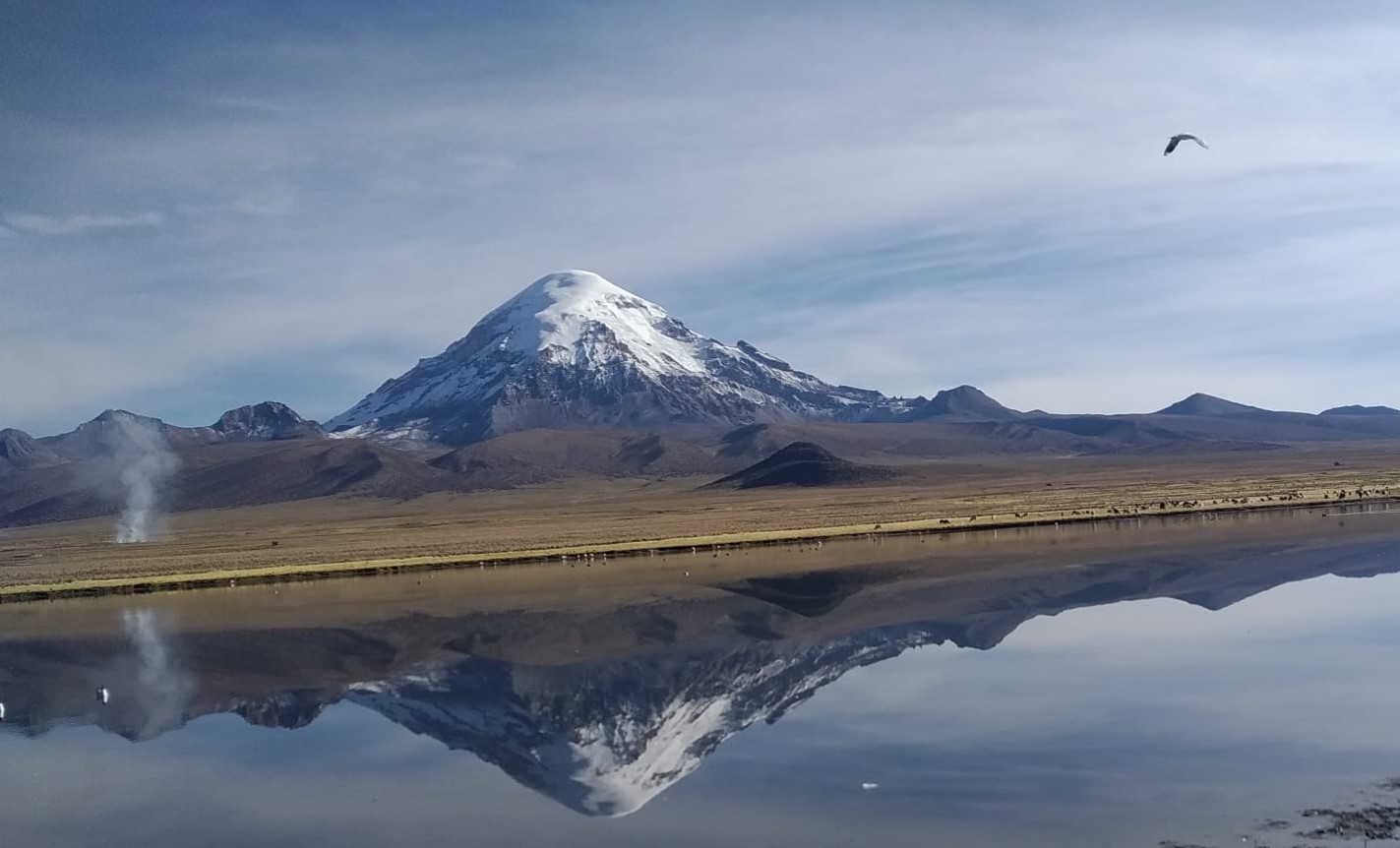 Parque Nacional Sajama, precursor de las áreas protegidas de Bolivia ...