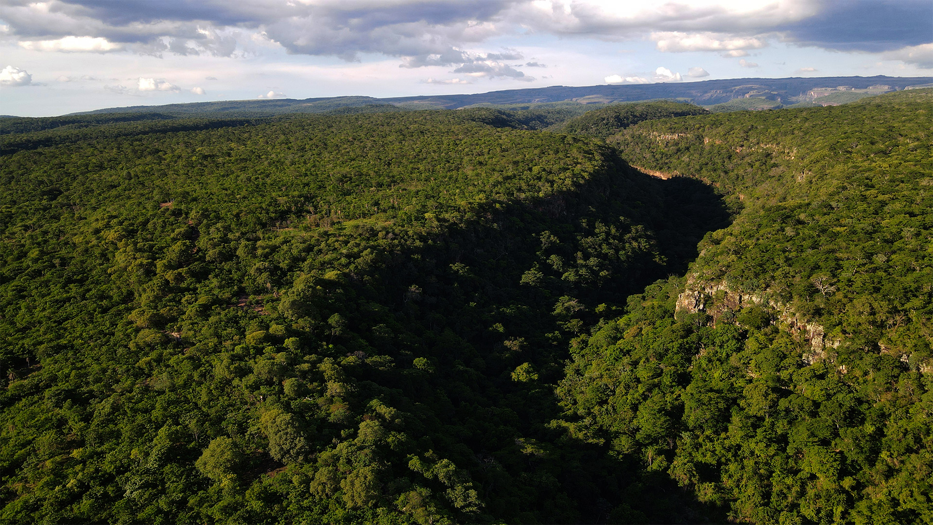 Roboré, “la Perla del Oriente” se seca y vive su mayor crisis del agua ...